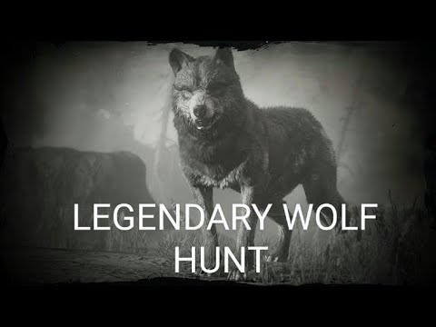 Red Dead Redemption 2 Legendary Wolf Hunt | PS5 - YouTube