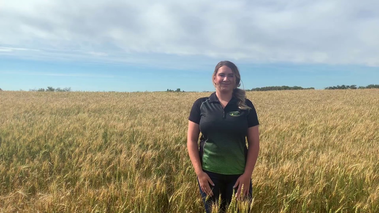 Catherine Bonneau (Tied for Third Place 2019) - YouTube
