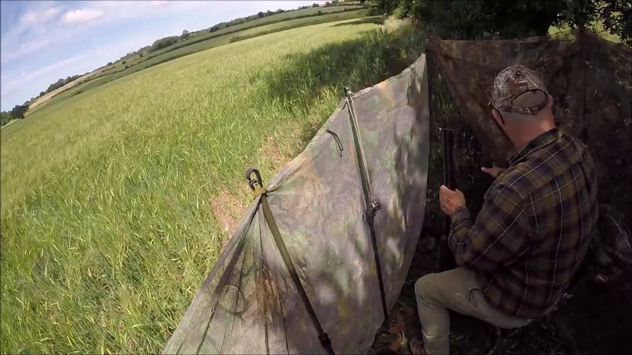 Woodpigeon Shooting 2020 Warwickshire - YouTube