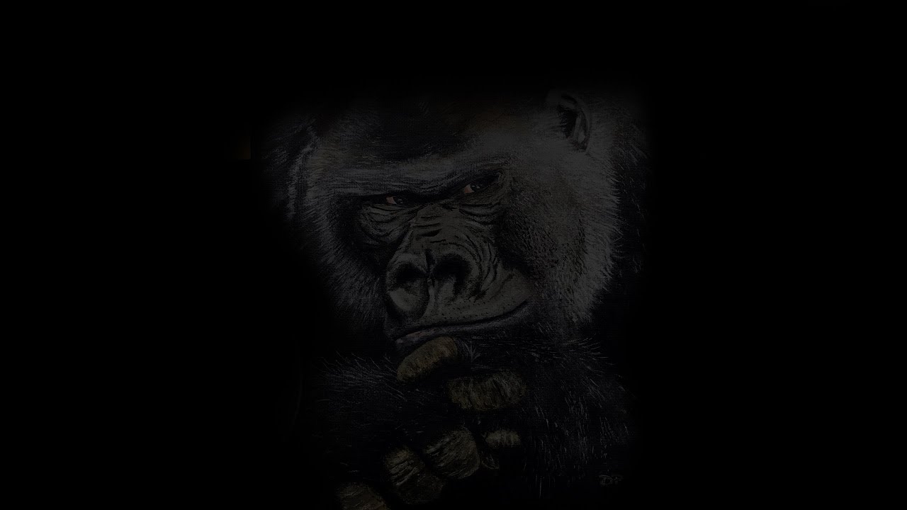 Orbs caught on infrared cameras 17 August 2020 - YouTube