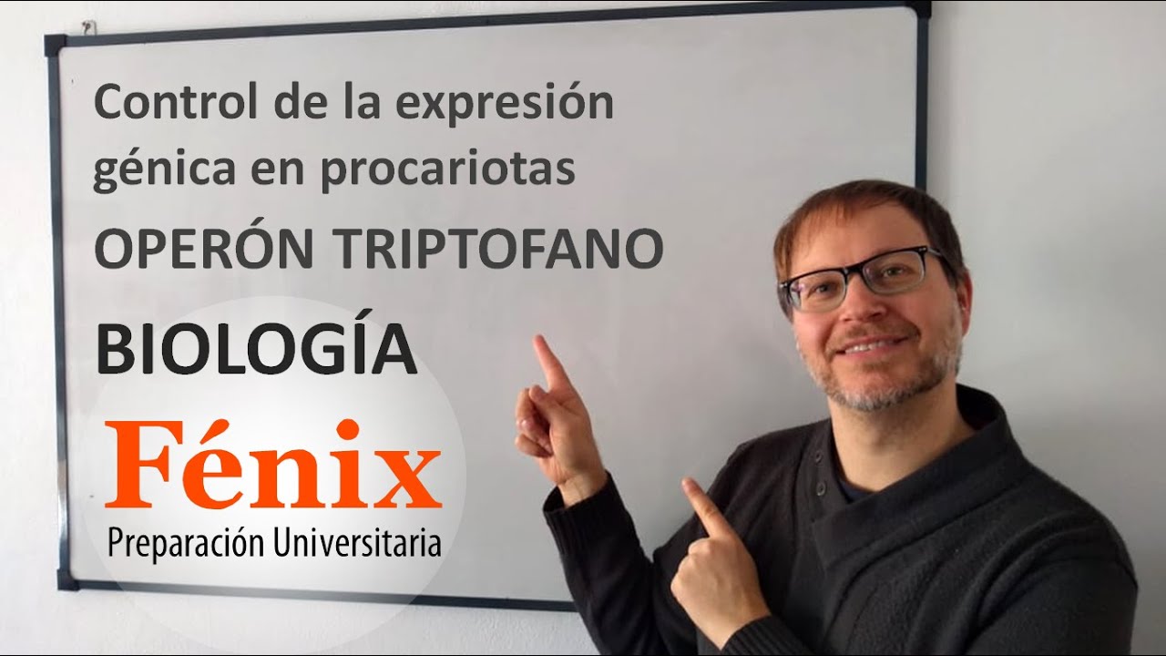 Operón Triptofano Trp - YouTube
