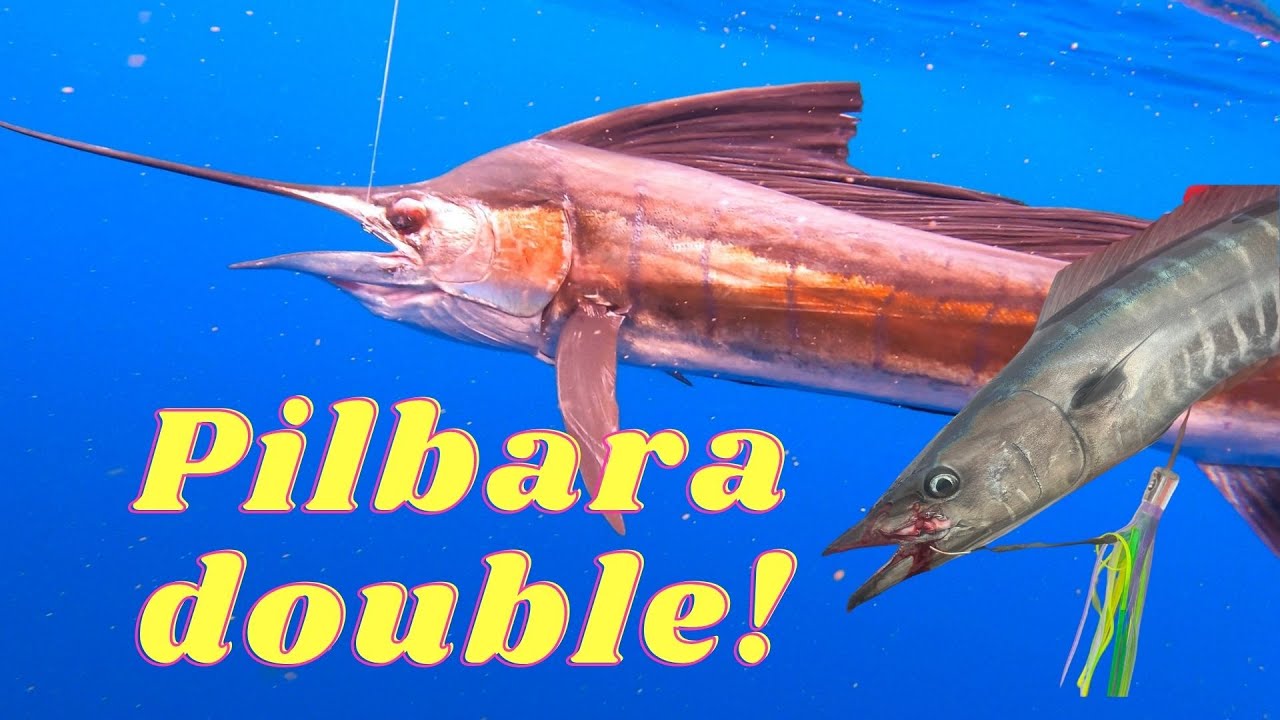 Great day trolling in glamour conditions!! Sailfish, wahoo and good ...