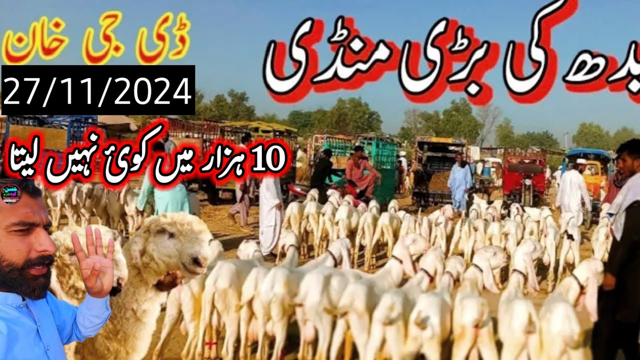 bakra Mandi dera ghazi Khan 10 hzar me bakra khred lo پاکستان کی سب سے ...
