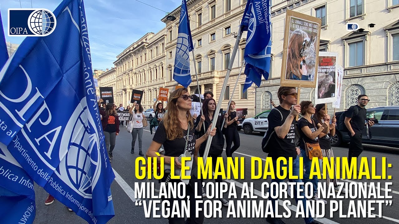 GIÙ LE MANI DAGLI ANIMALI: MILANO, L’OIPA AL CORTEO NAZIONALE “VEGAN ...