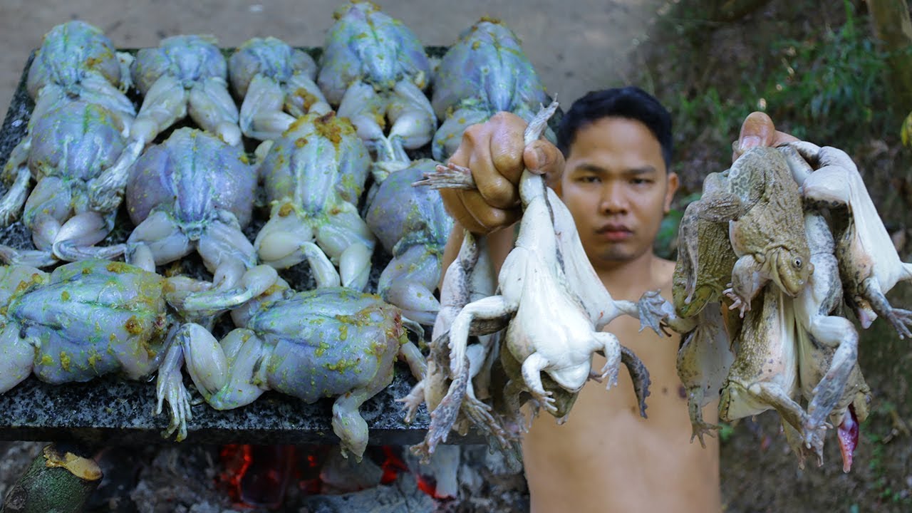 Frog Recipes - Catch & Cooking Frogs on the Rock Eating Delicious - YouTube