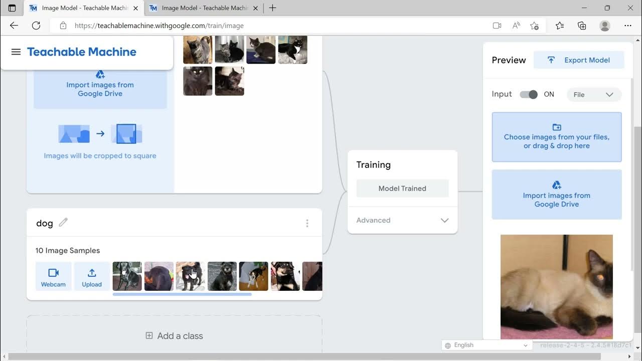Machine Learning cat and dog classifier - YouTube
