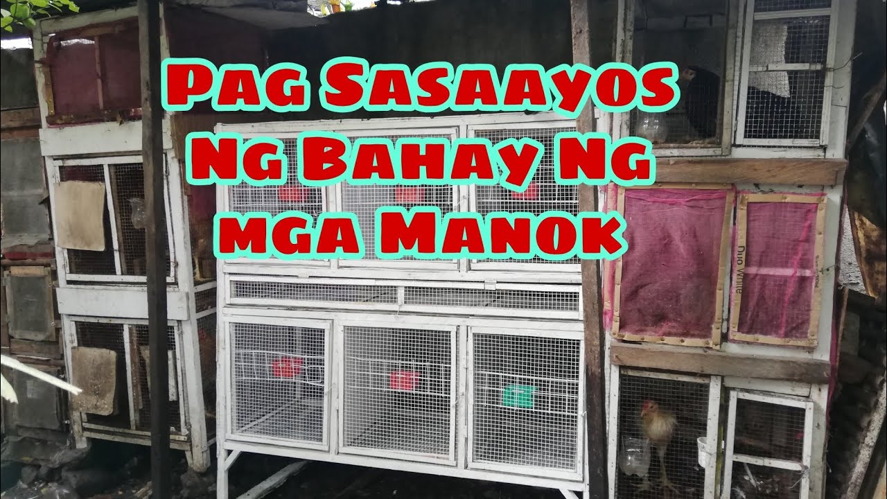 inayos mna bahay ng mga manok - YouTube