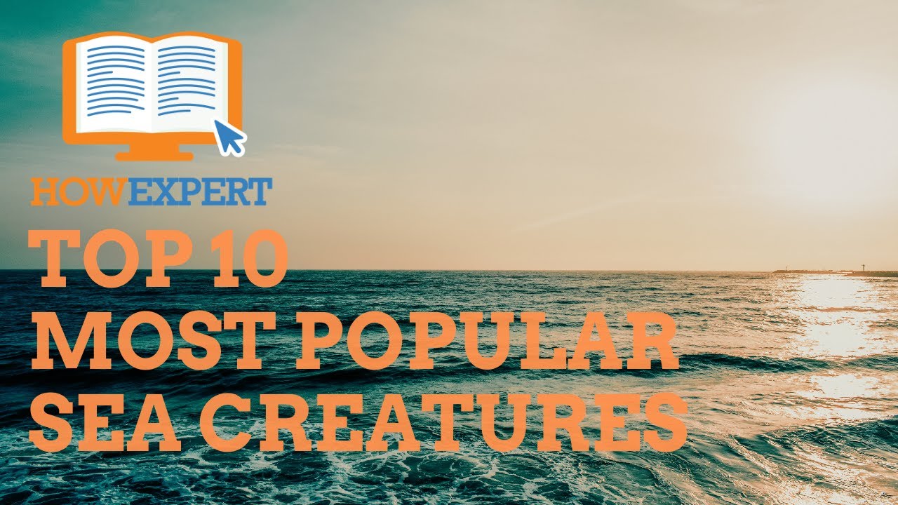 HowExpert Top 10 Most Popular & Interesting Sea Creatures - YouTube