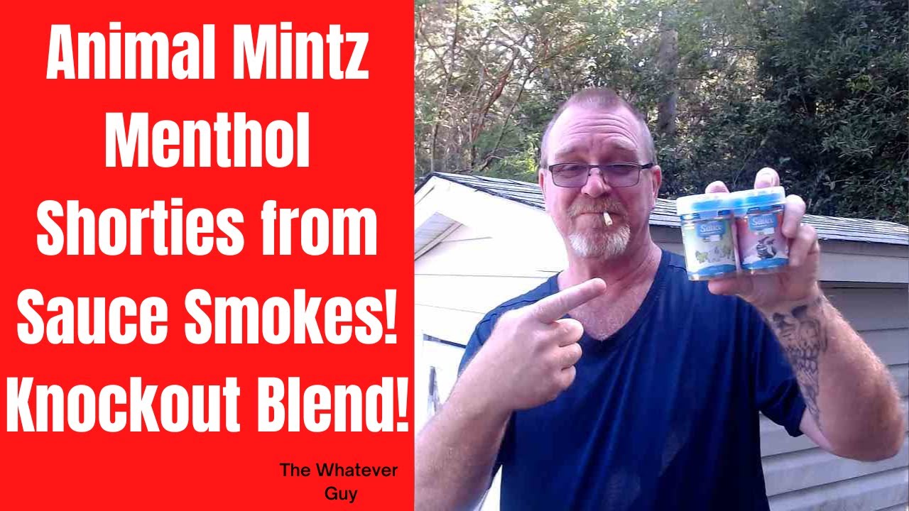Animal Mintz Menthol Shorties from Sauce Smokes! Knockout Blend! - YouTube