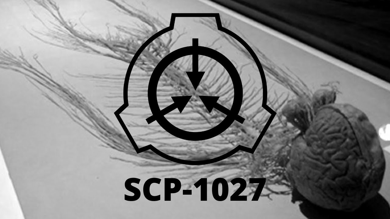 Readings With Lithium (SCP-1027) - YouTube