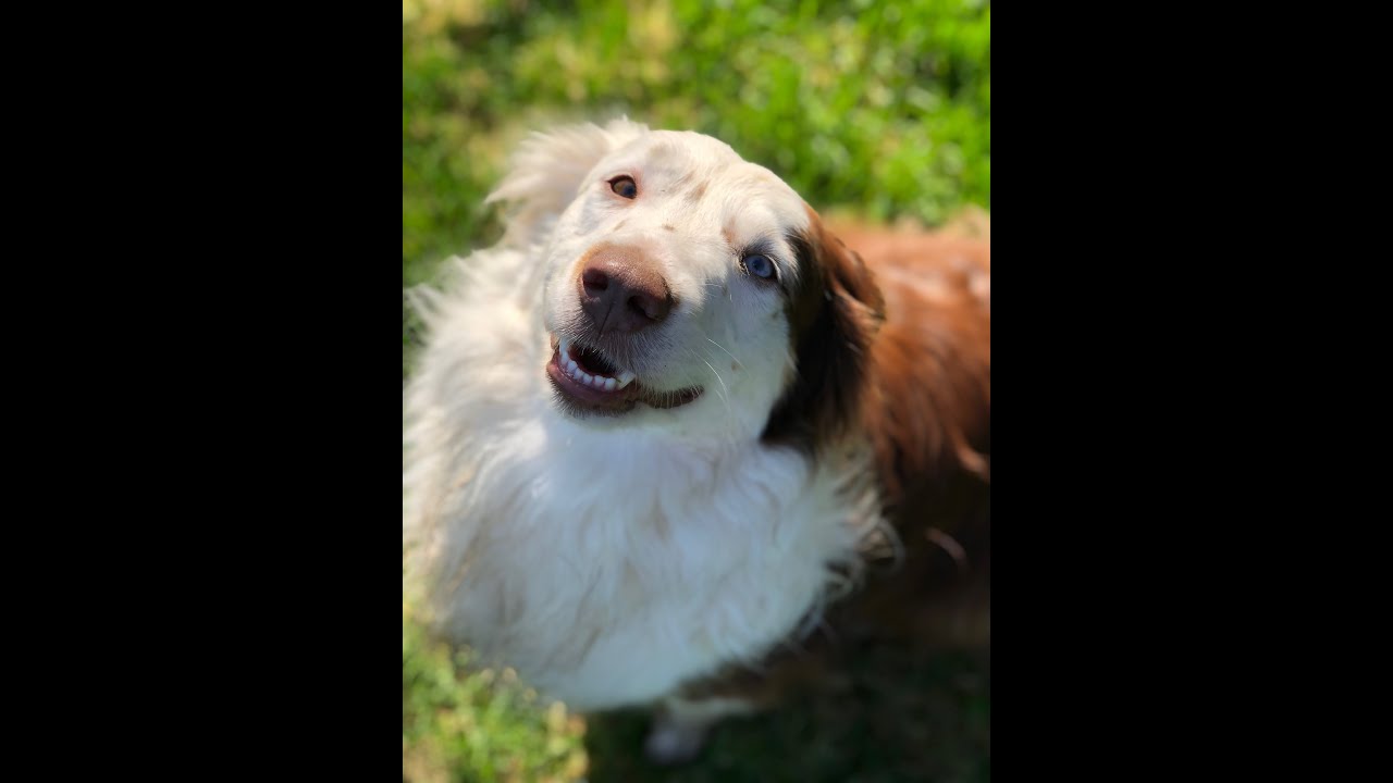 Smiley Rylie's Road to Recovery Part 2 - YouTube
