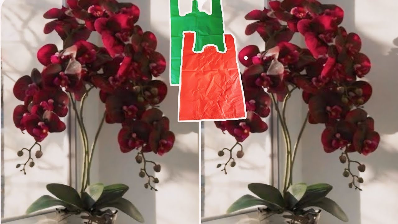 DIY Cara Membuat Bunga Anggrek dari Plastik Kresek - How to Make Orchid ...