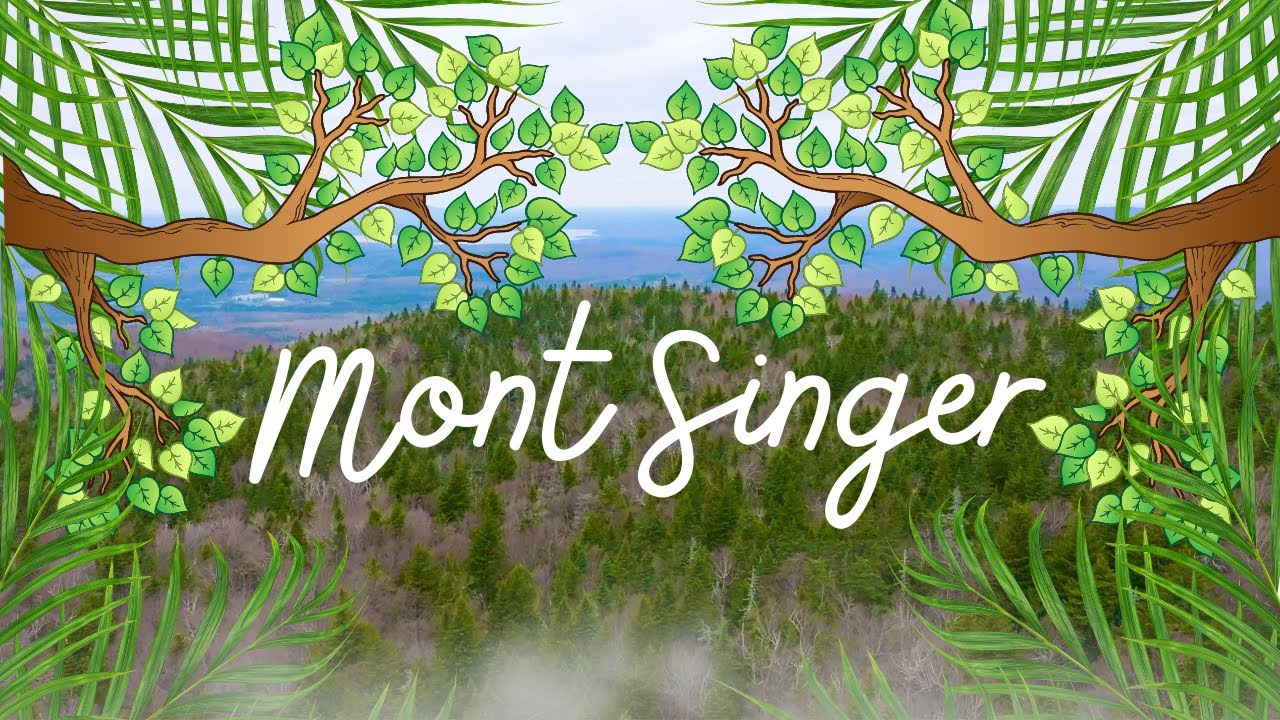Vlog : Randonnée pédestre au Mont Singer ( Estrie ) - YouTube