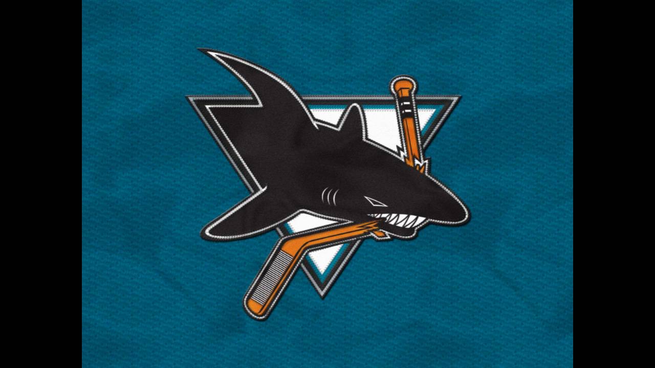 Go Sharks Go - YouTube
