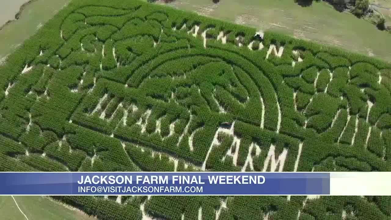 Midday Interview: Jackson Farms - YouTube