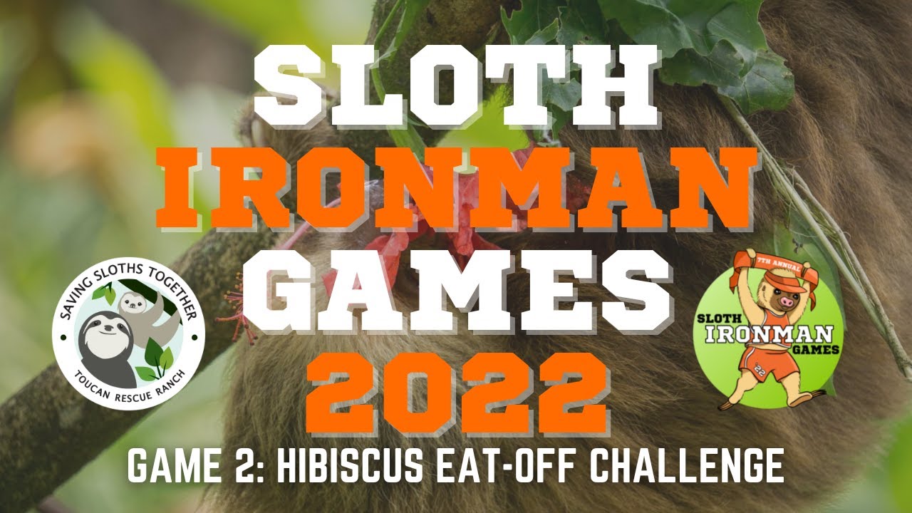 GAME 2: Hibiscus Eat-Off | 2022 Sloth Ironman Games - YouTube