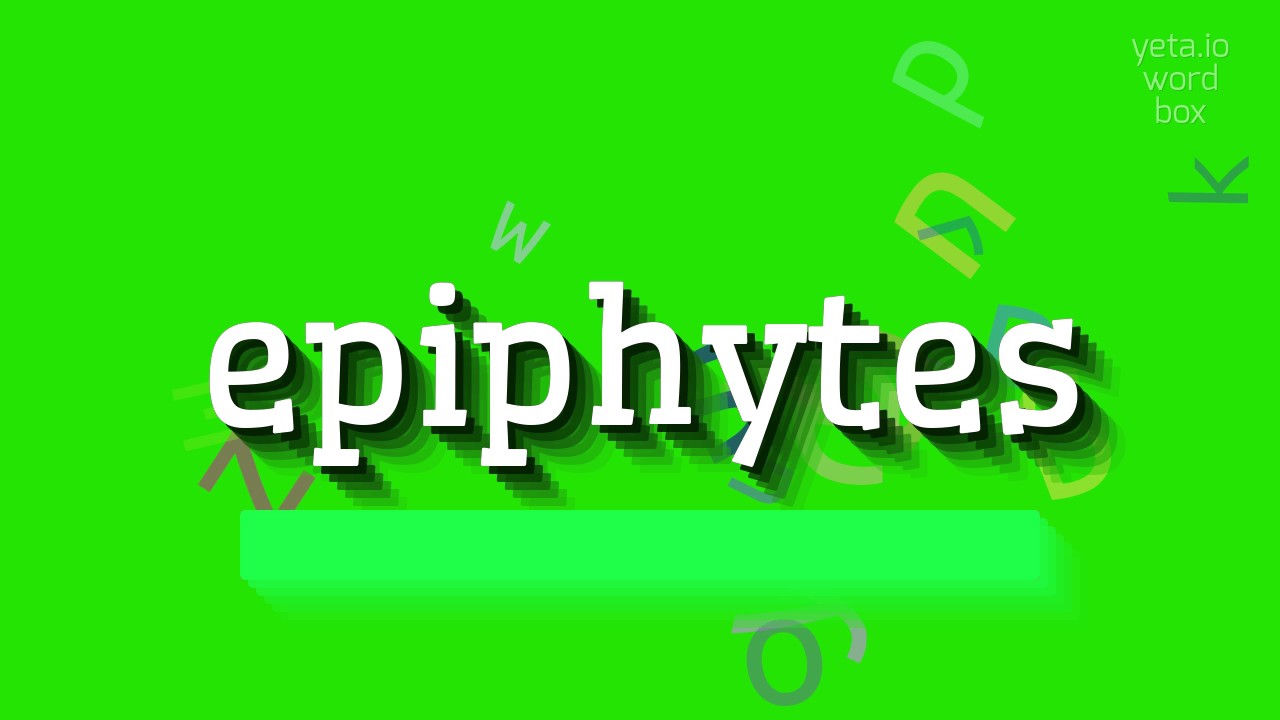 EPIPHYTES - HOW TO PRONOUNCE EPIPHYTES? #epiphytes - YouTube