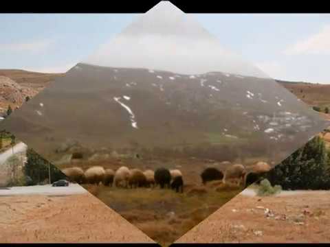 Yollar çimen Bağladı- AVREN