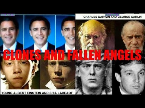 What are Clones Or Biological Robotoids (Fallen Angels/ Reprobate ...