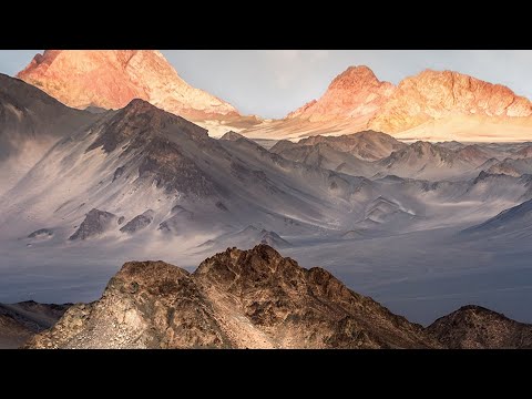 Lion biyografi filmi (2016)