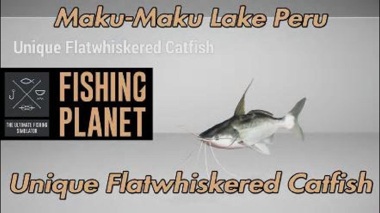 Unique Flatwhiskered Catfish - Maku-Maku Lake Peru - Fishing Planet ...