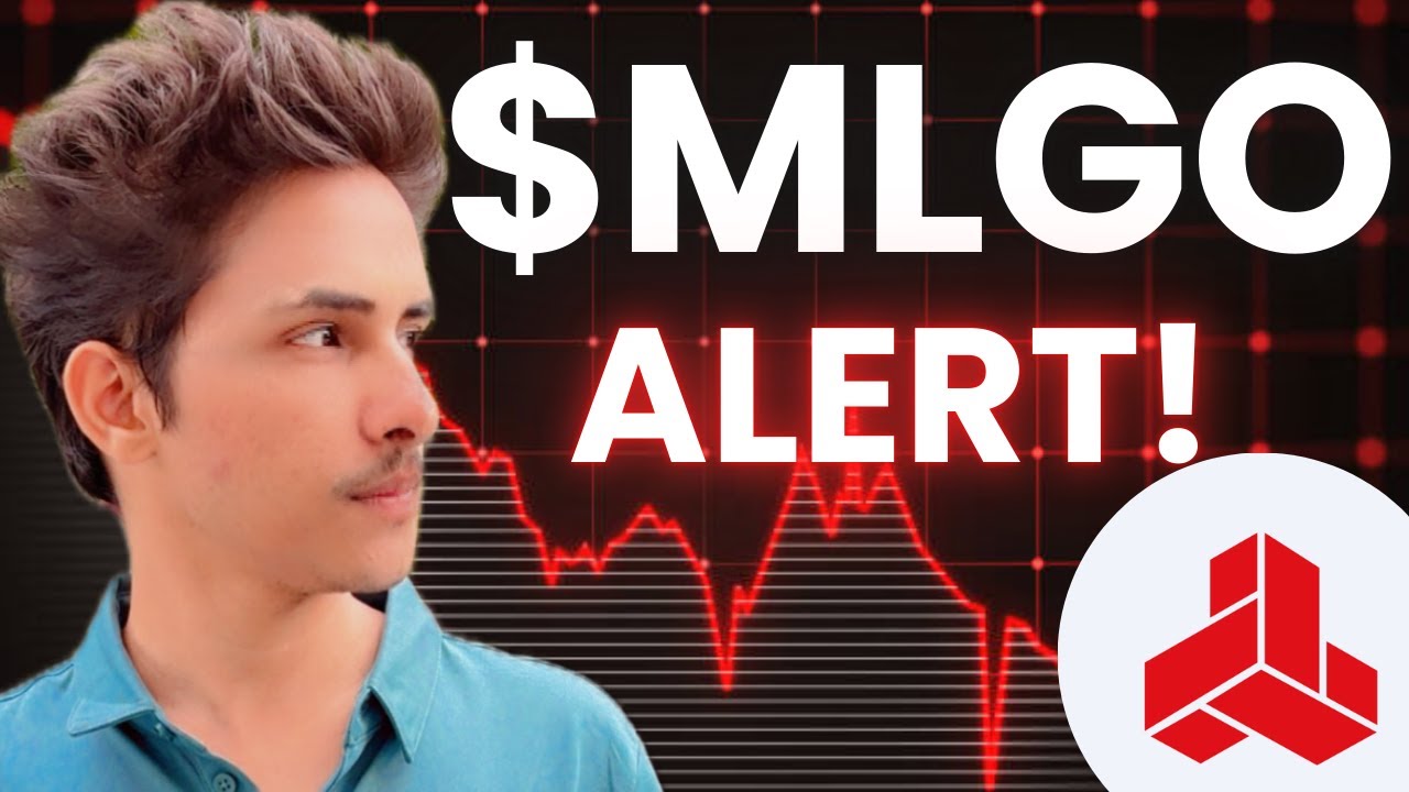 MLGO Stock: (MicroAlgo stock) MLGO STOCK PREDICTIONS MLGO STOCK ...