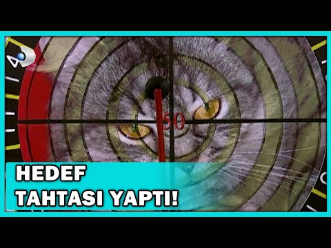 Ferit, Duman'ı Hedef Tahtası Yaptı! - Acemi Cadı 56.Bölüm