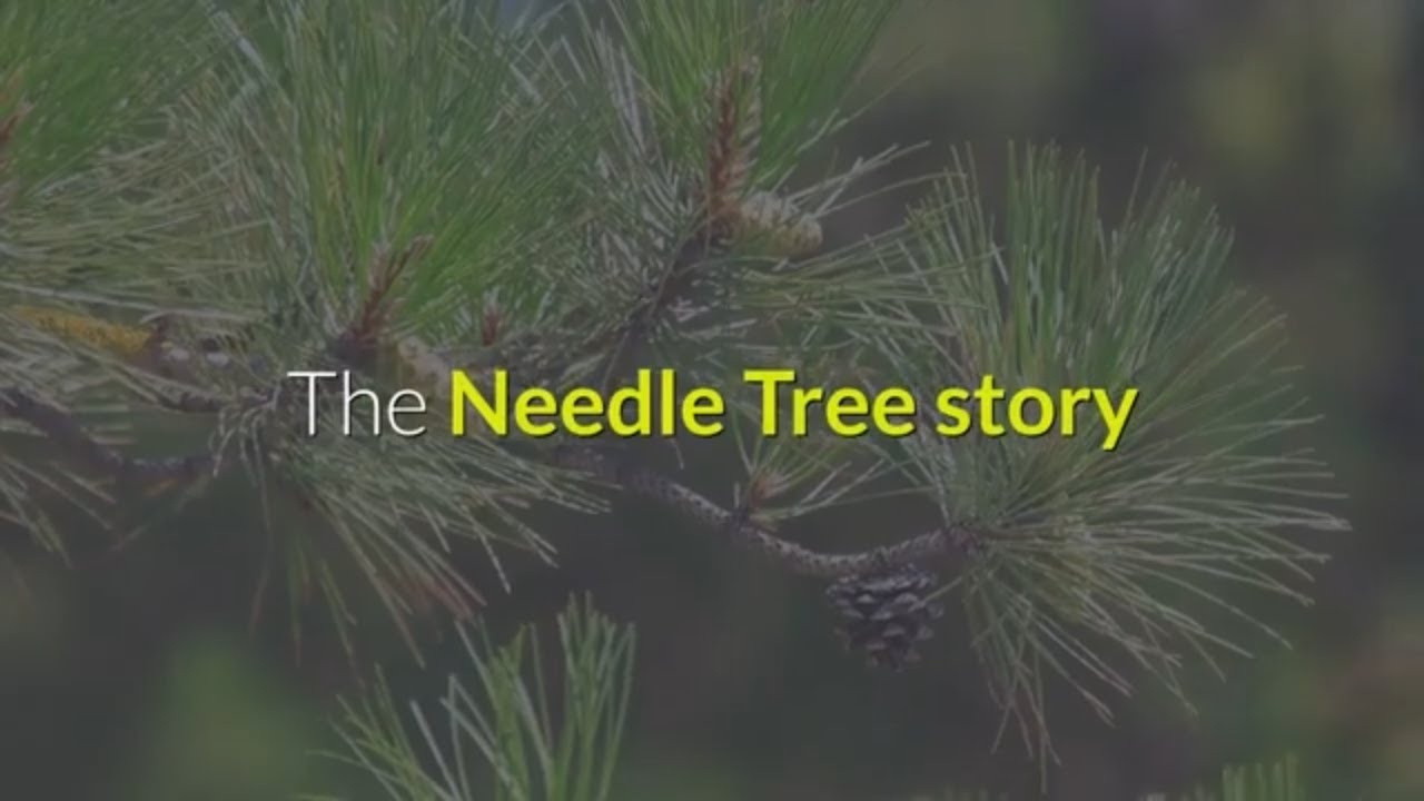 The Needle Tree story | Short Moral Story | Kids Story | Bedtime Story ...