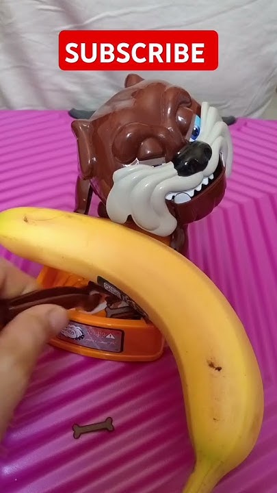 ASMR Maddog always protect his food #shorts #short #trending #viral #toys #asmr - YouTube