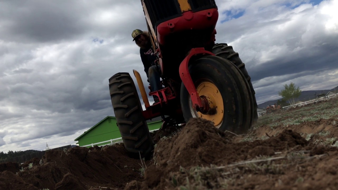 plow day 2019 with the 1959 case 611b - YouTube