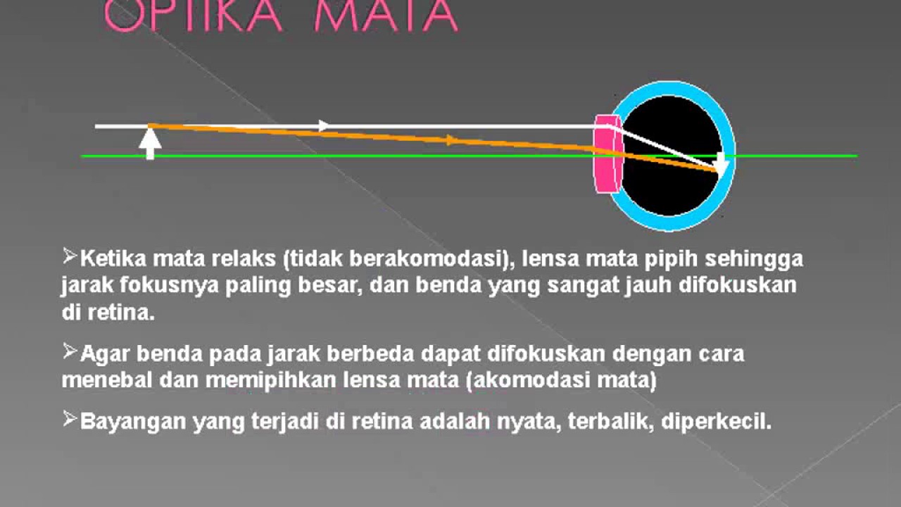 Optik Mata karya : INDAH JUWITA (Guru SMA 6) - YouTube