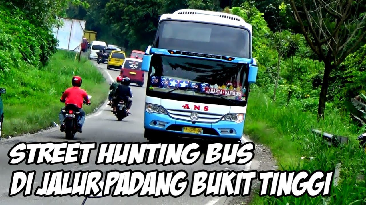 Street Hunting Bus Di Jalur Padang Bukit Tinggi - YouTube