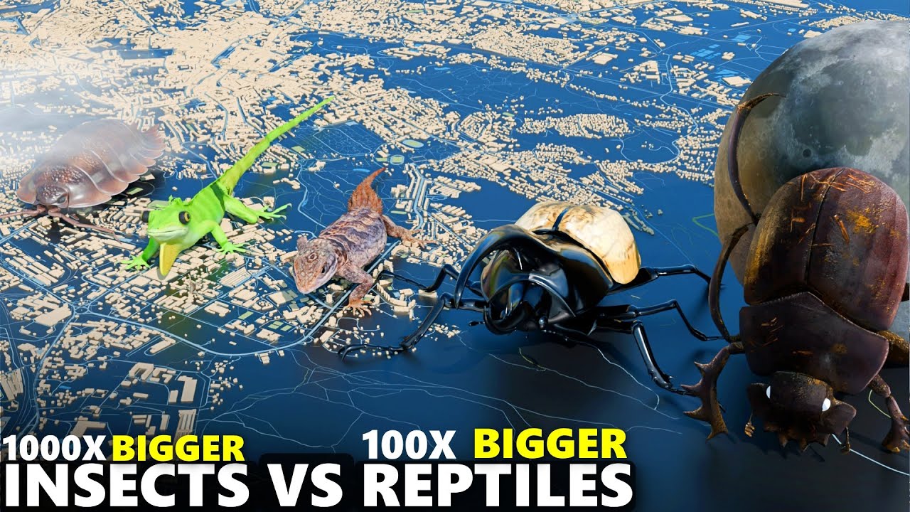 100X Bigger Reptiles vs 1000X Bigger Insects | 3D Size Comparison - YouTube