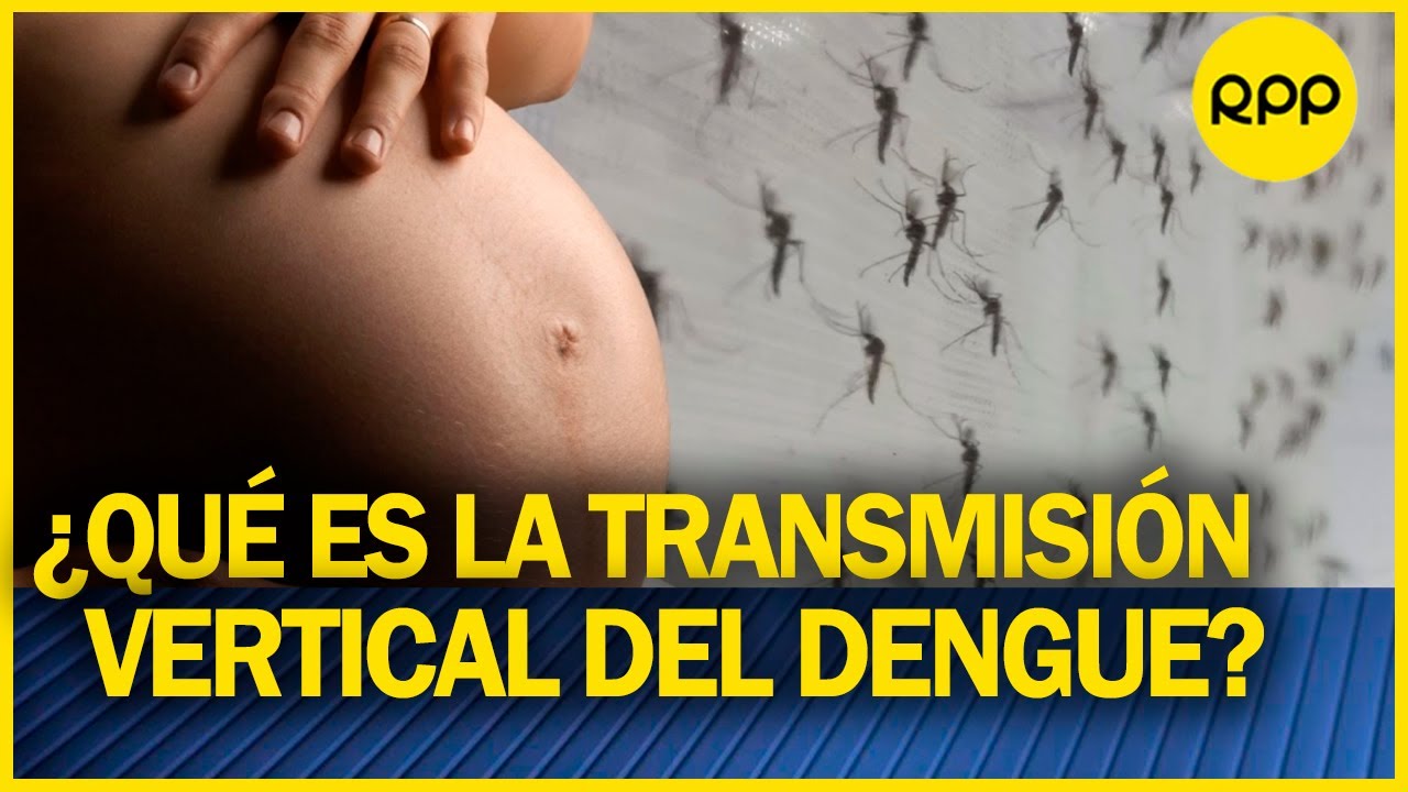 Transmisión vertical de virus dengue en Aedes - YouTube