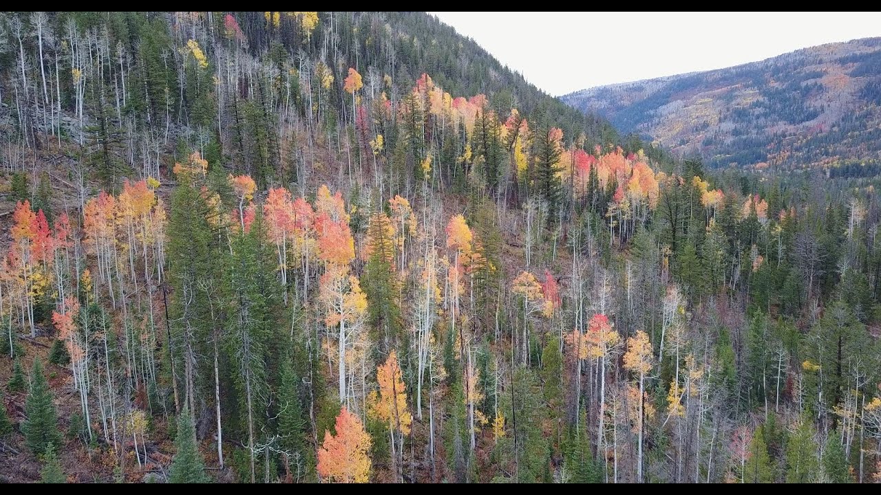 Waterfalls and Fall Colors in the Wasatch Mountains of Utah by Drone ...