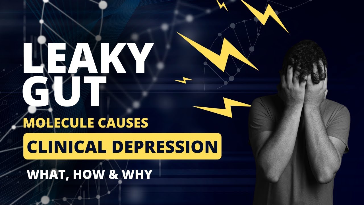 This "Leaky Gut molecule" caused clinical depression in 100% of test ...
