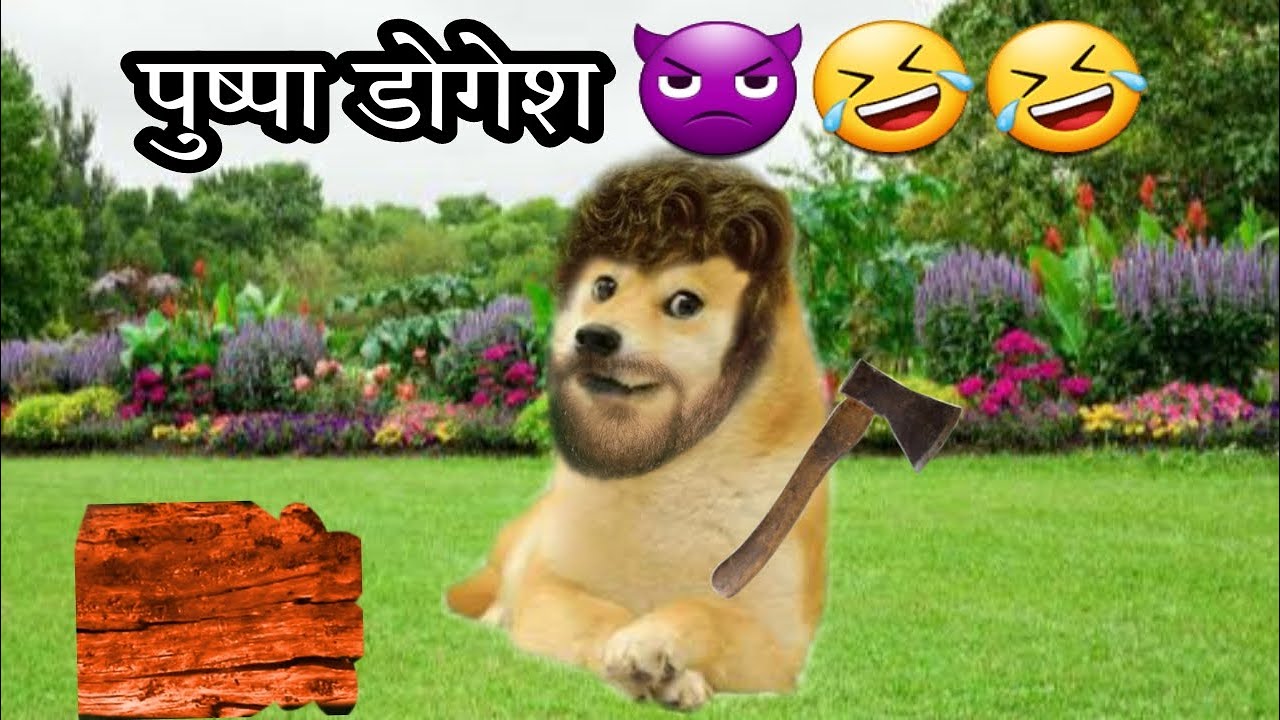 पुष्पा डोगेश 😈🤣🤣 | Pushpa Dogesh#dogesh #pushpa #pushparaj #cheems # ...