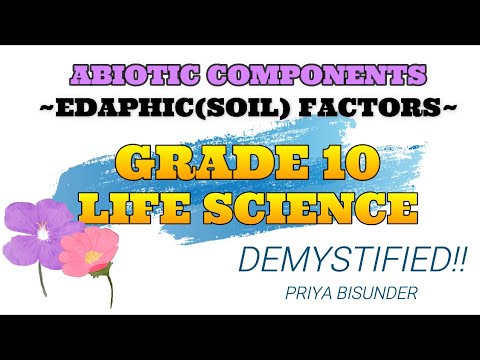 ABIOTIC COMPONENT -EDAPHIC FACTORS- - YouTube