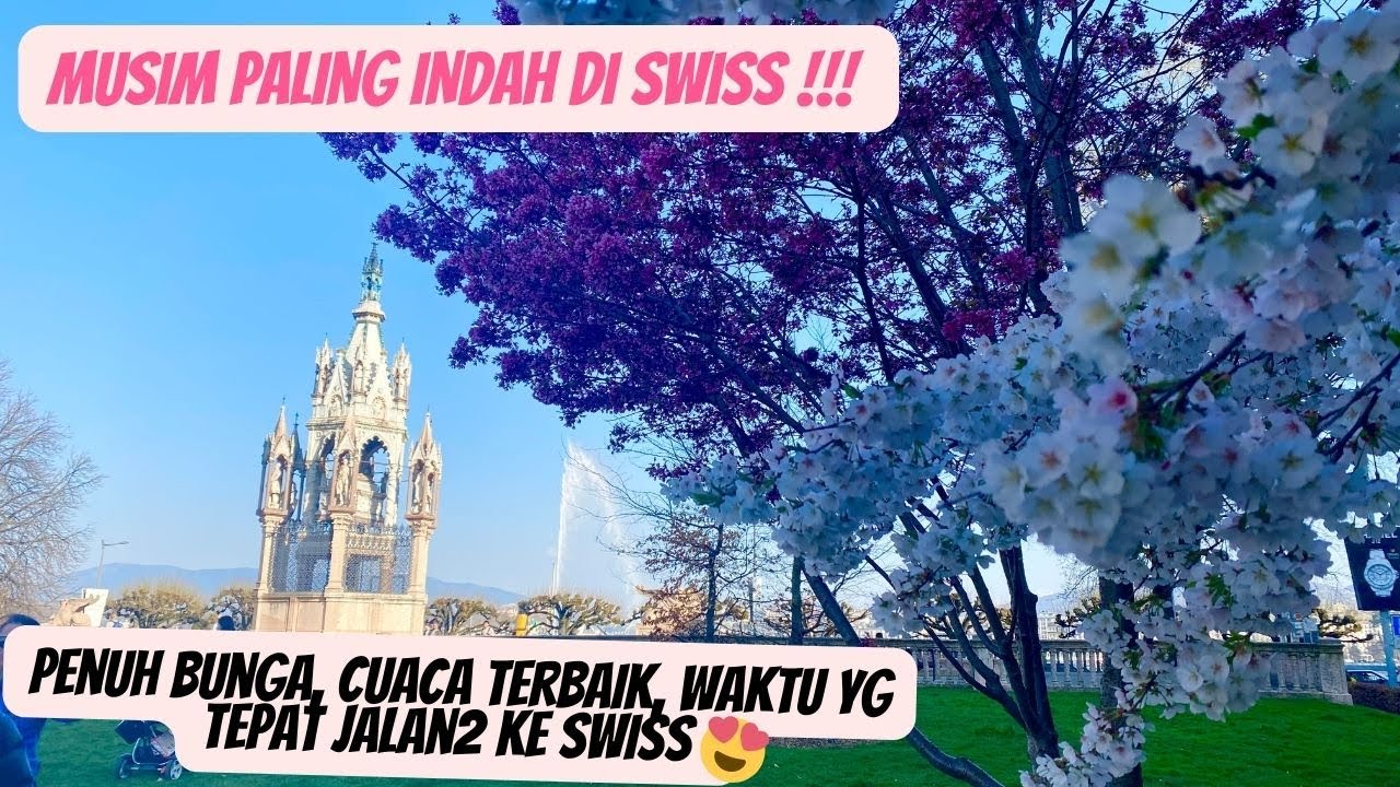 SUASANA MUSIM SEMI DI SWISS | SPRING IN SWITZERLAND - YouTube