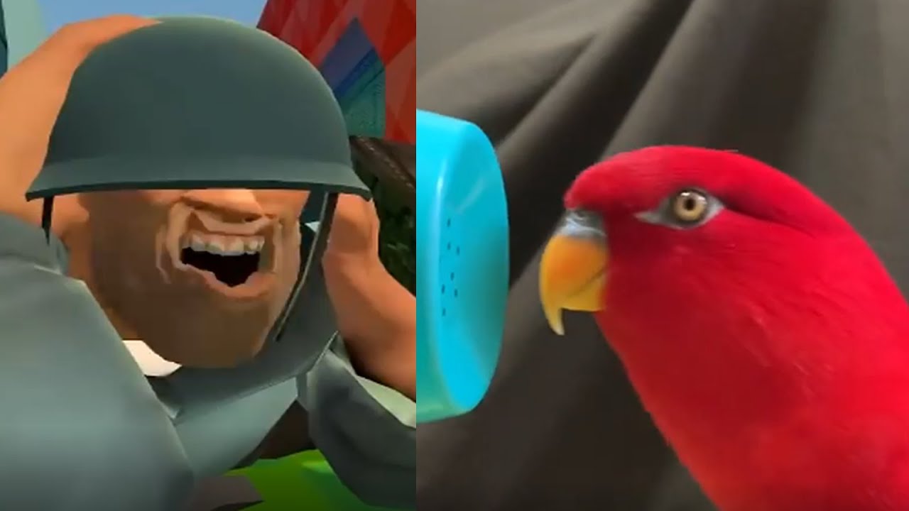 TF2 Fabulous Soldier calls Red Birb - YouTube