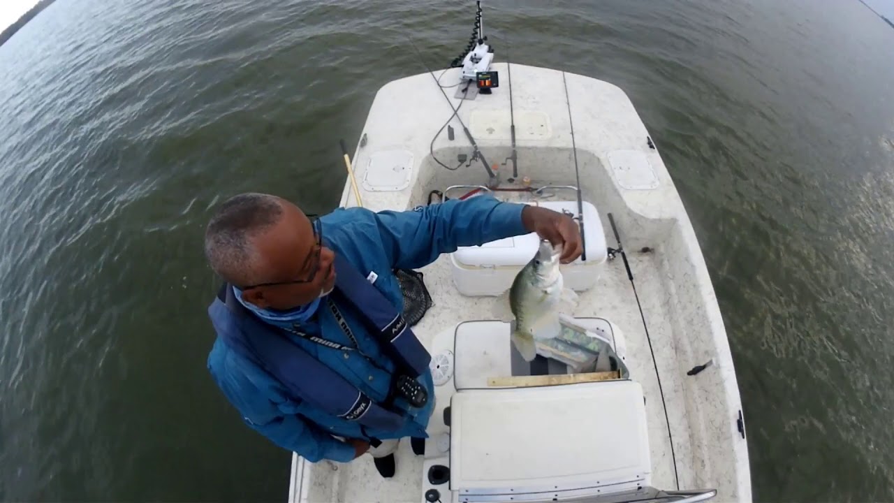 Black Stripe Crappie - Marker Line Crappie - This Crappie Is Different ...