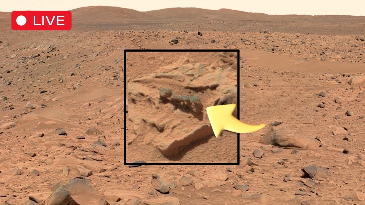NASA Mars Rover Perseverance Sent Most Incredible Footage of Mars' Life ...