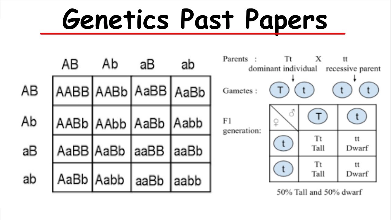 Genetics Past Papers - YouTube