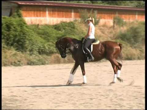 Rhaoul Santo Stefano CAT M under Ida Drei Donà - YouTube