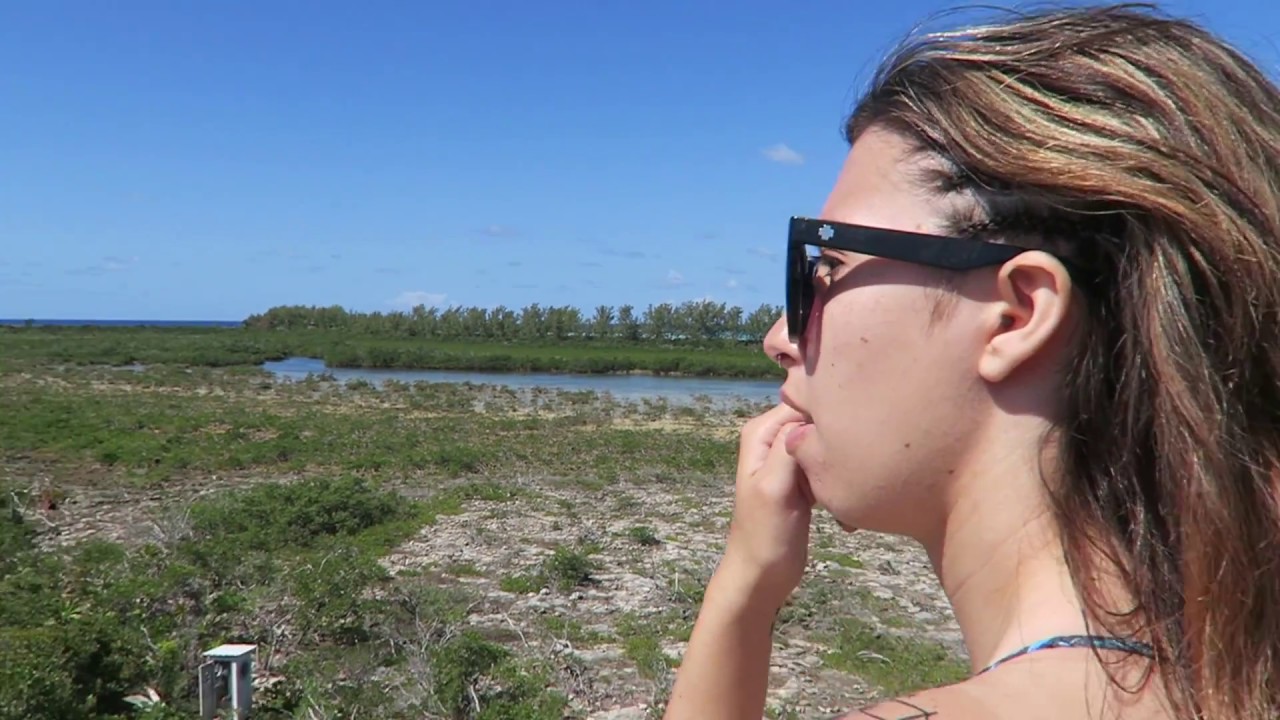 Canon GoPro Travel Jamaica Mexico Cayman Islands Disneyworld Spring ...