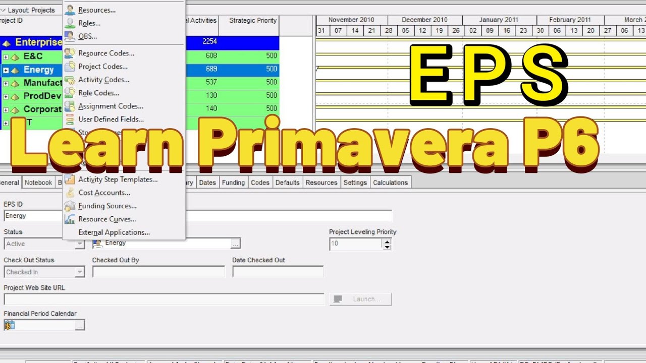 How to create Enterprise Project Structure in Primavera P6 - YouTube