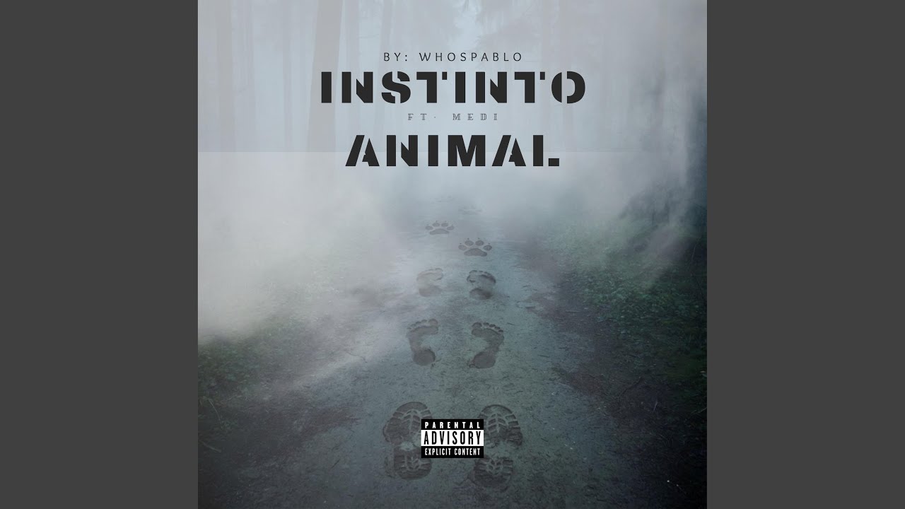 INSTINTO ANIMAL - YouTube