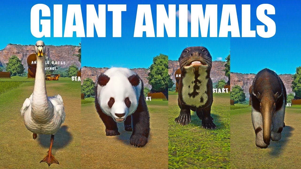 Giant Animals Category Speed Races in Planet Zoo included Giant Swan ...