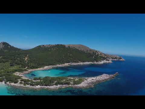 Nature Video 30 Seconds|WhatsApp Status Video|Nature Background Videos