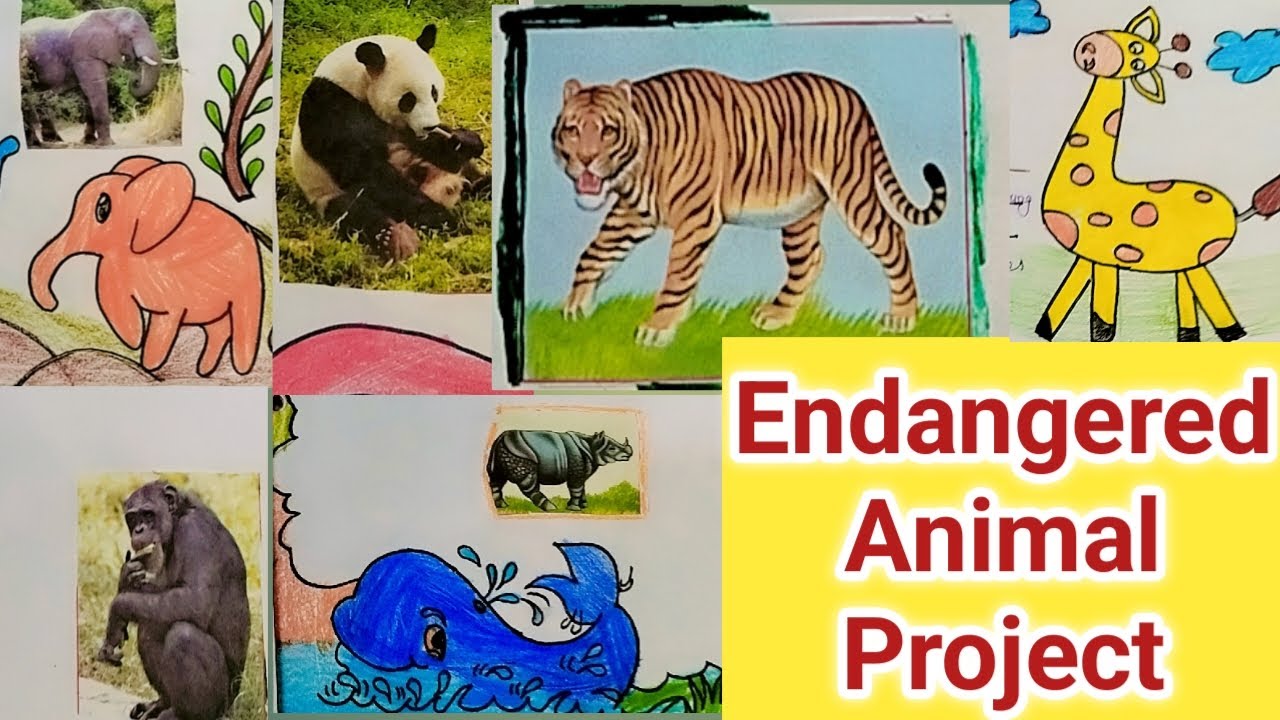 Endangered animals project | Endangered species | Endangered animal of ...